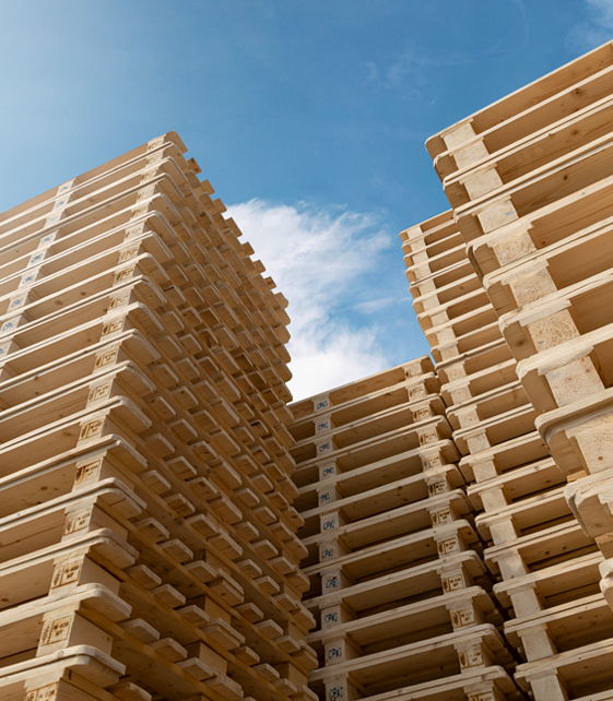 Wood Industry in India - Leading Manufacturers & Suppliers | Jay Wood ...